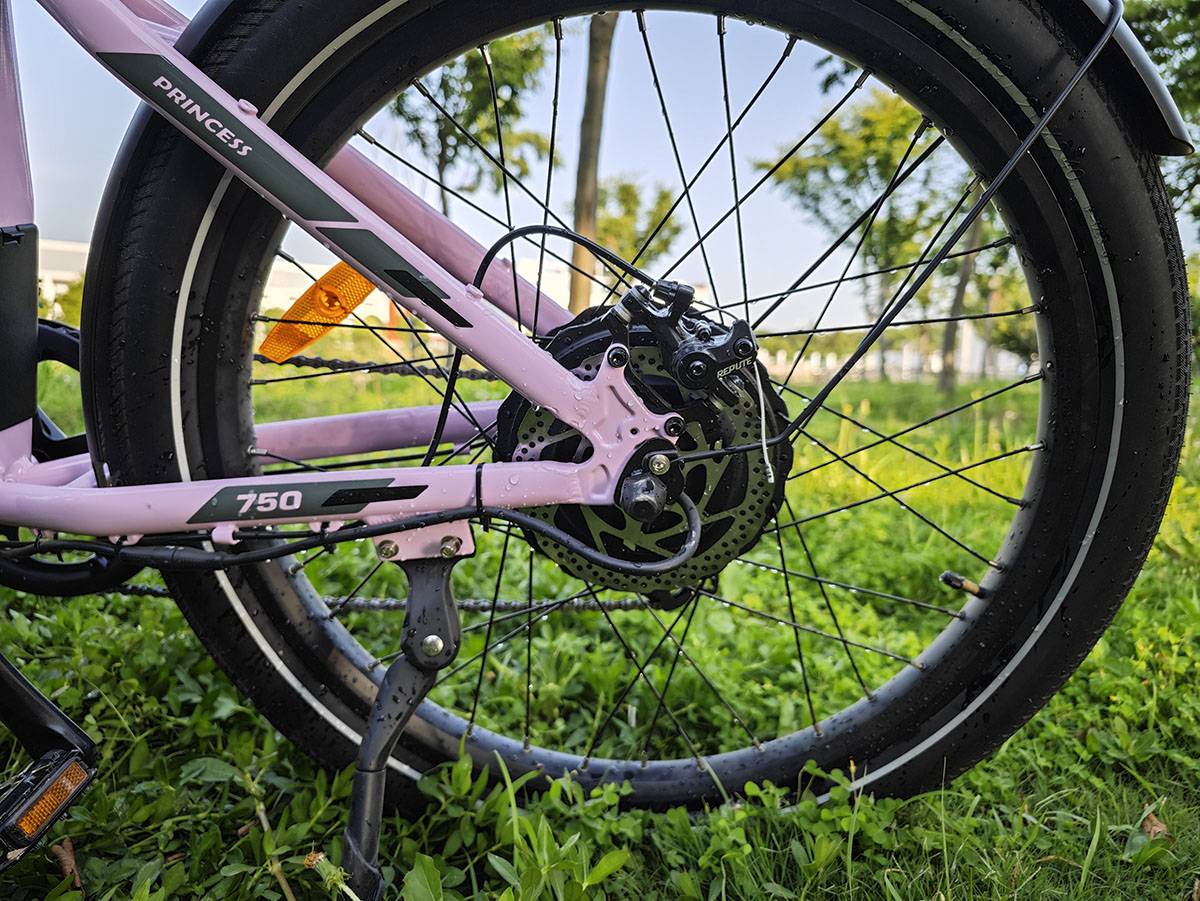 Built-in Cassette Torque Sensor: Elevating Hub Motors to Mid-Drive ...